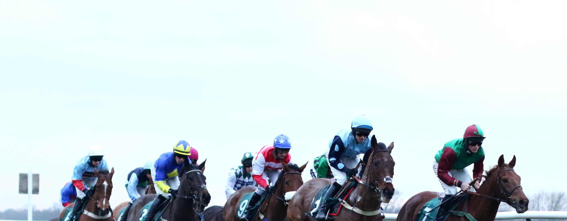 Warwick Races: The Director's Suite | Gala Events